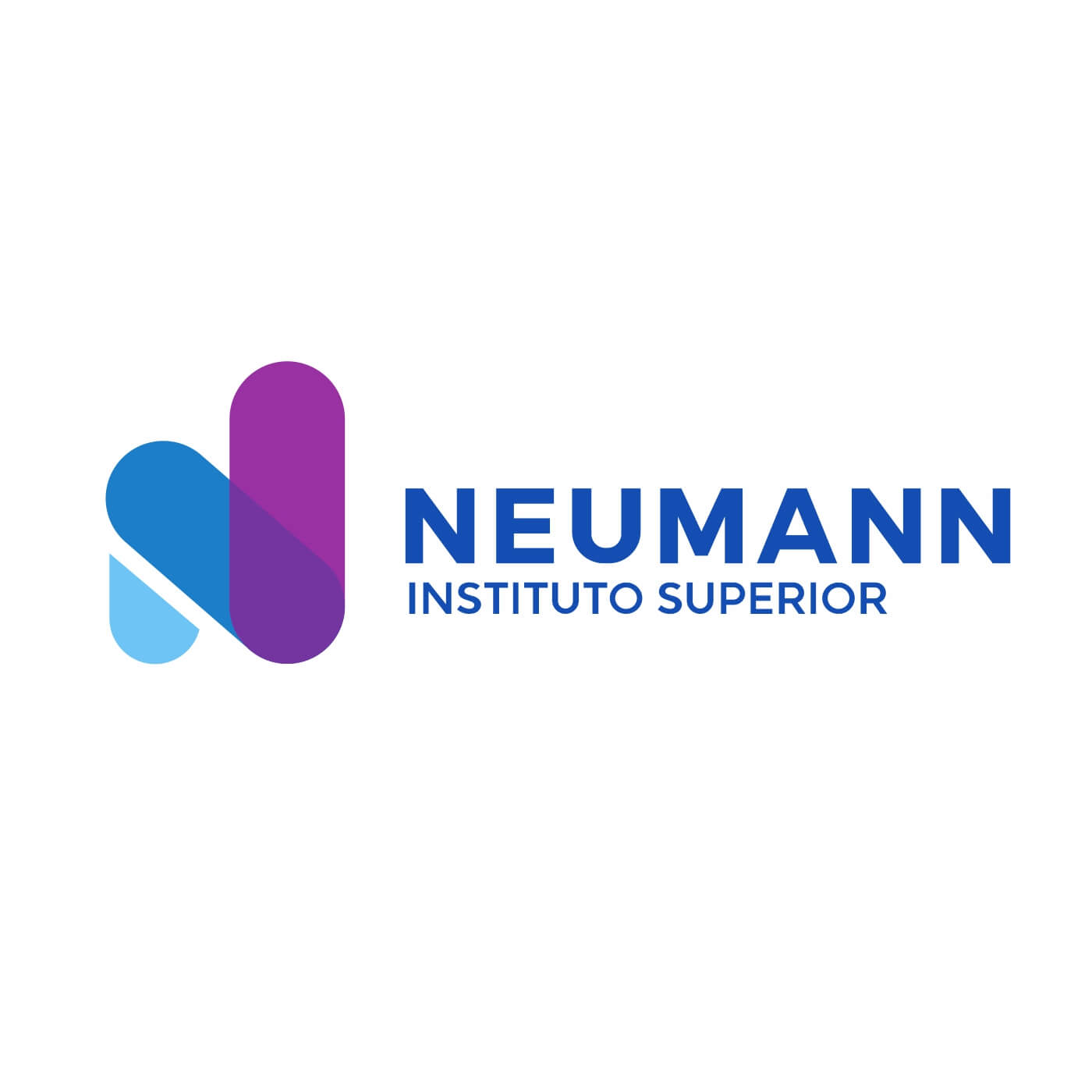 Logo neumann tacna